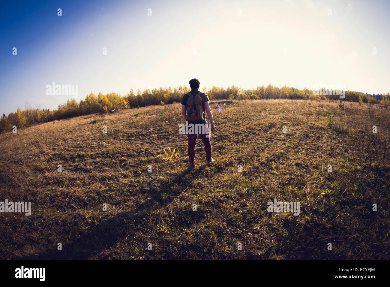 Man standing in field Stock Photo - Alamy