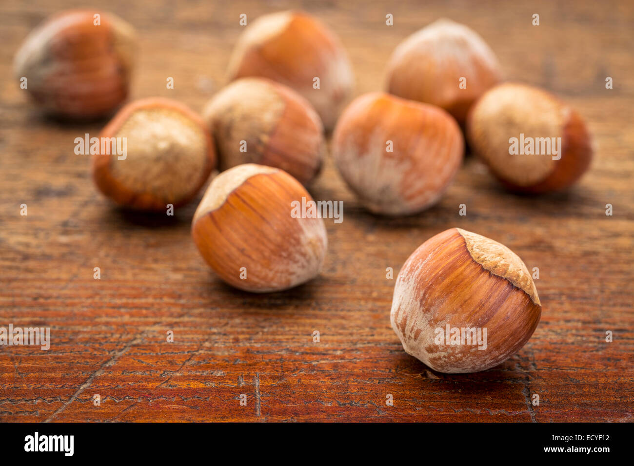 hazelnuts on a grunge wood surface with a selective focus Stock Photo ...