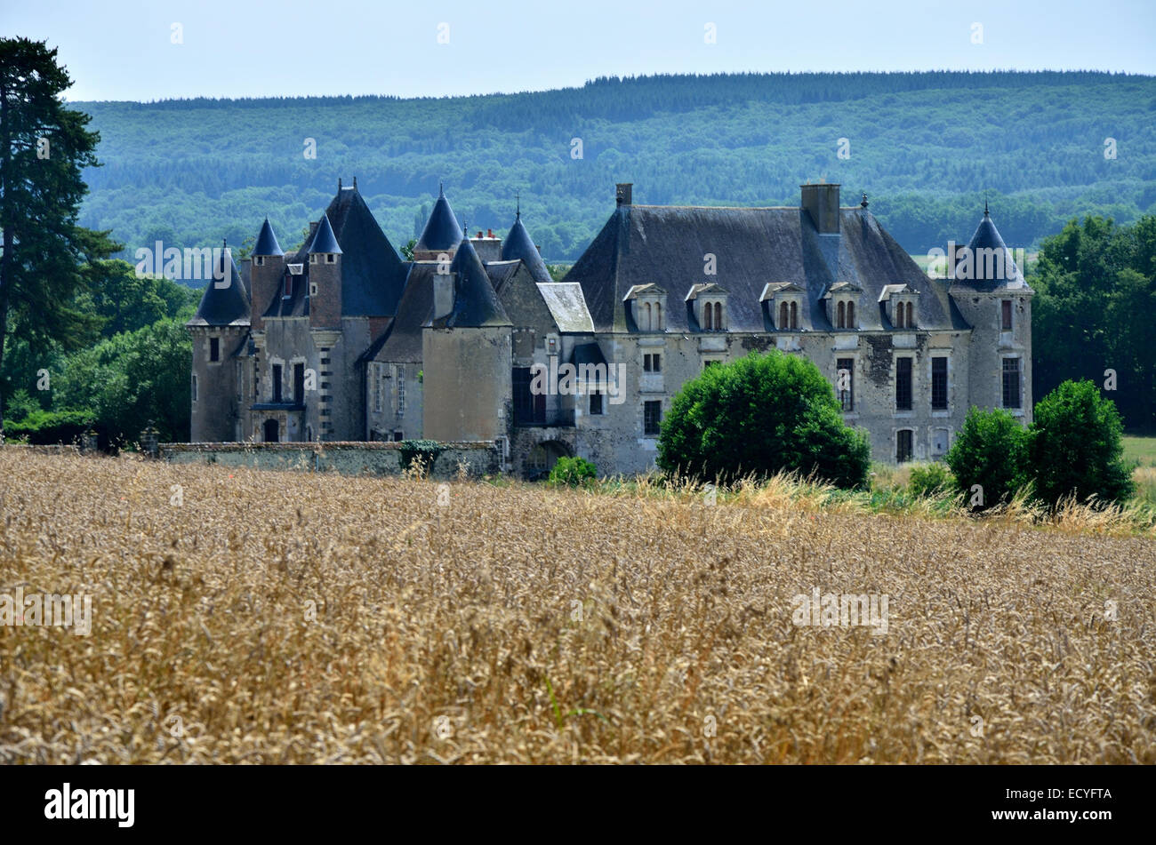 A la découverte du chateau de Boucard, au coeur des vignobles du coeur ...