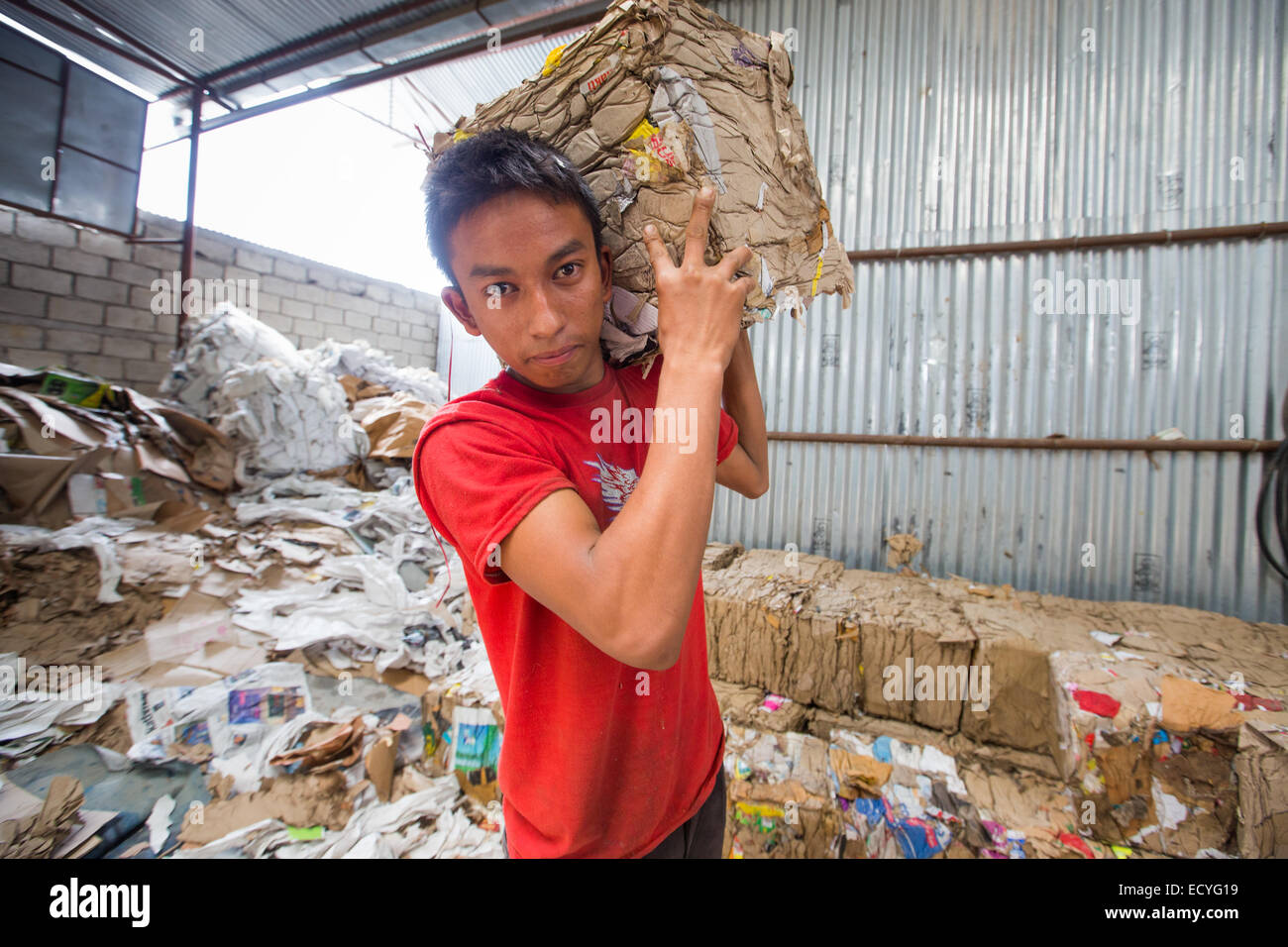 Processing recycled waste in Kathmandu, Nepal Stock Photo - Alamy