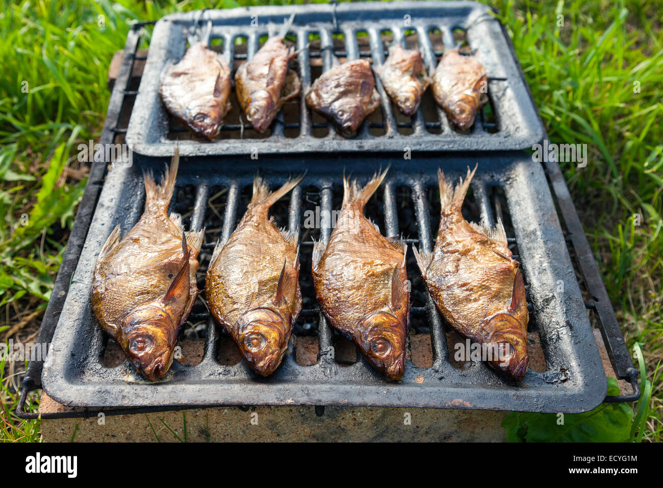 Smoked fish home cooking on the outdoors Stock Photo - Alamy