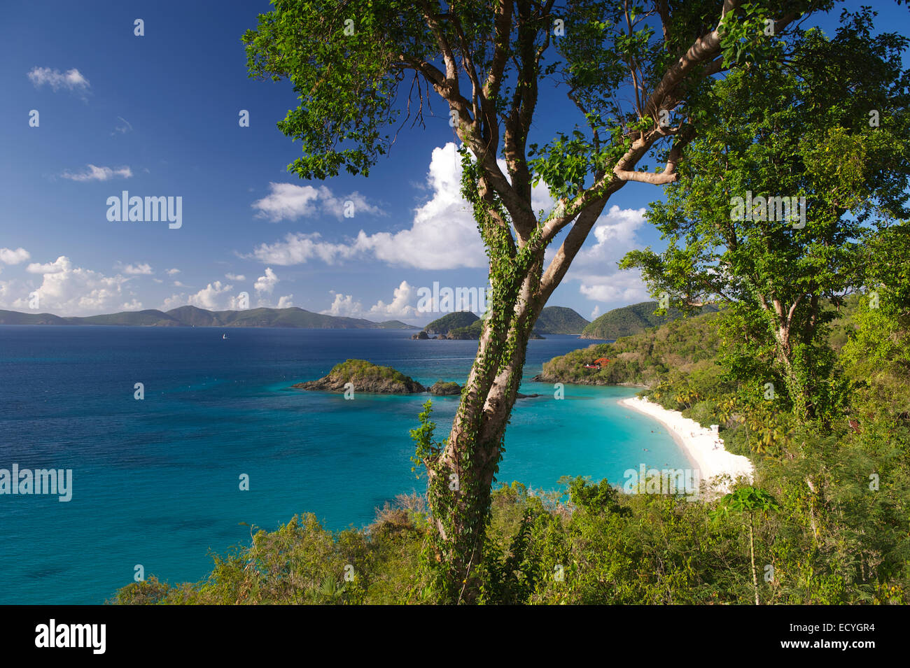 Panorama trunk bay us virgin hi-res stock photography and images - Alamy