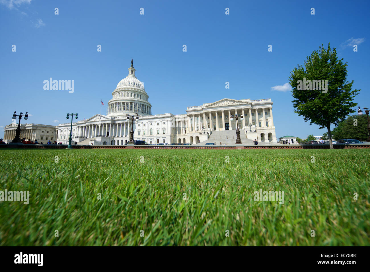 Capitol Building Washington DC USA scenic view with green grass summer ...