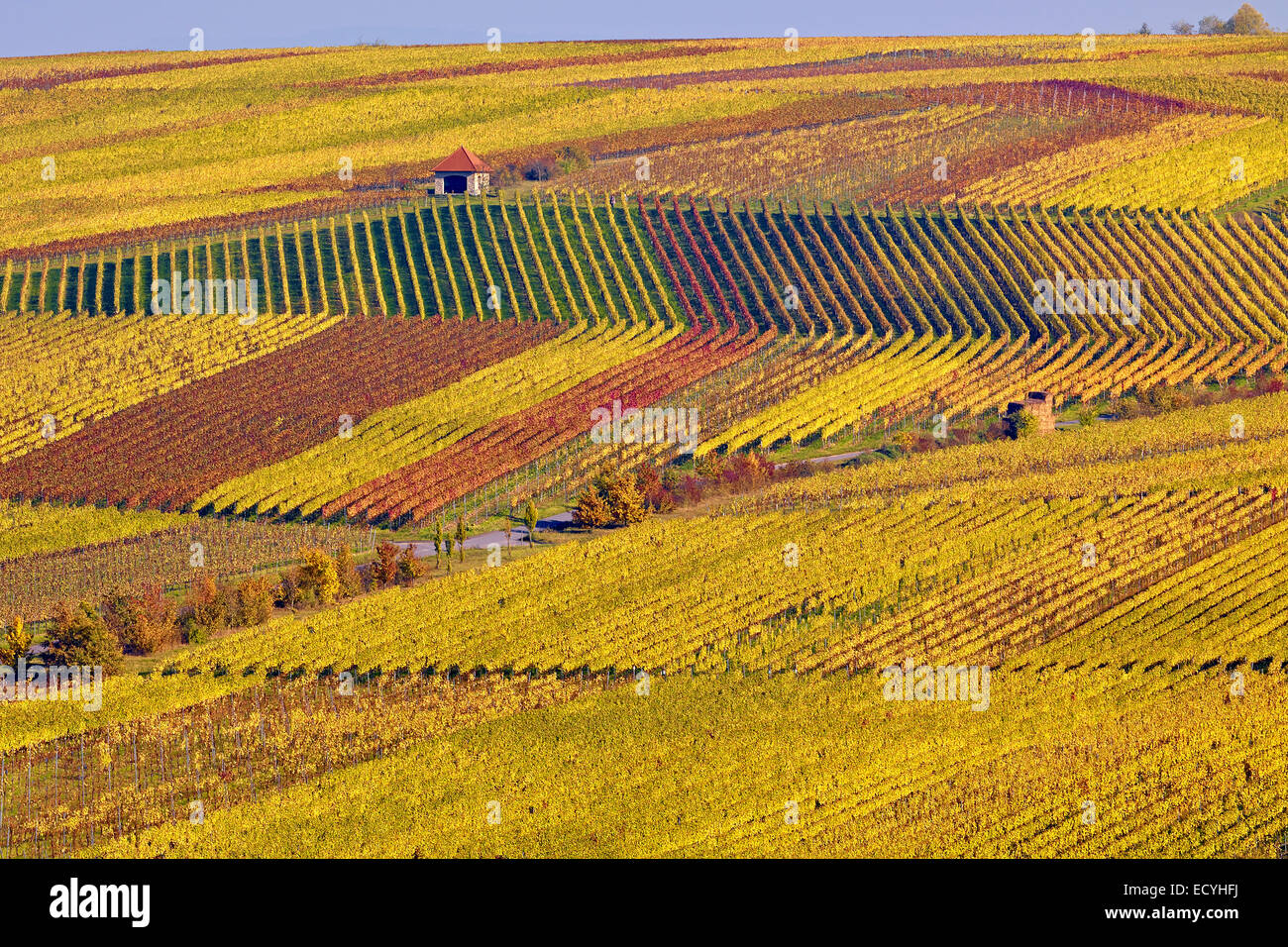 Nordheim and germany hi-res stock photography and images - Alamy