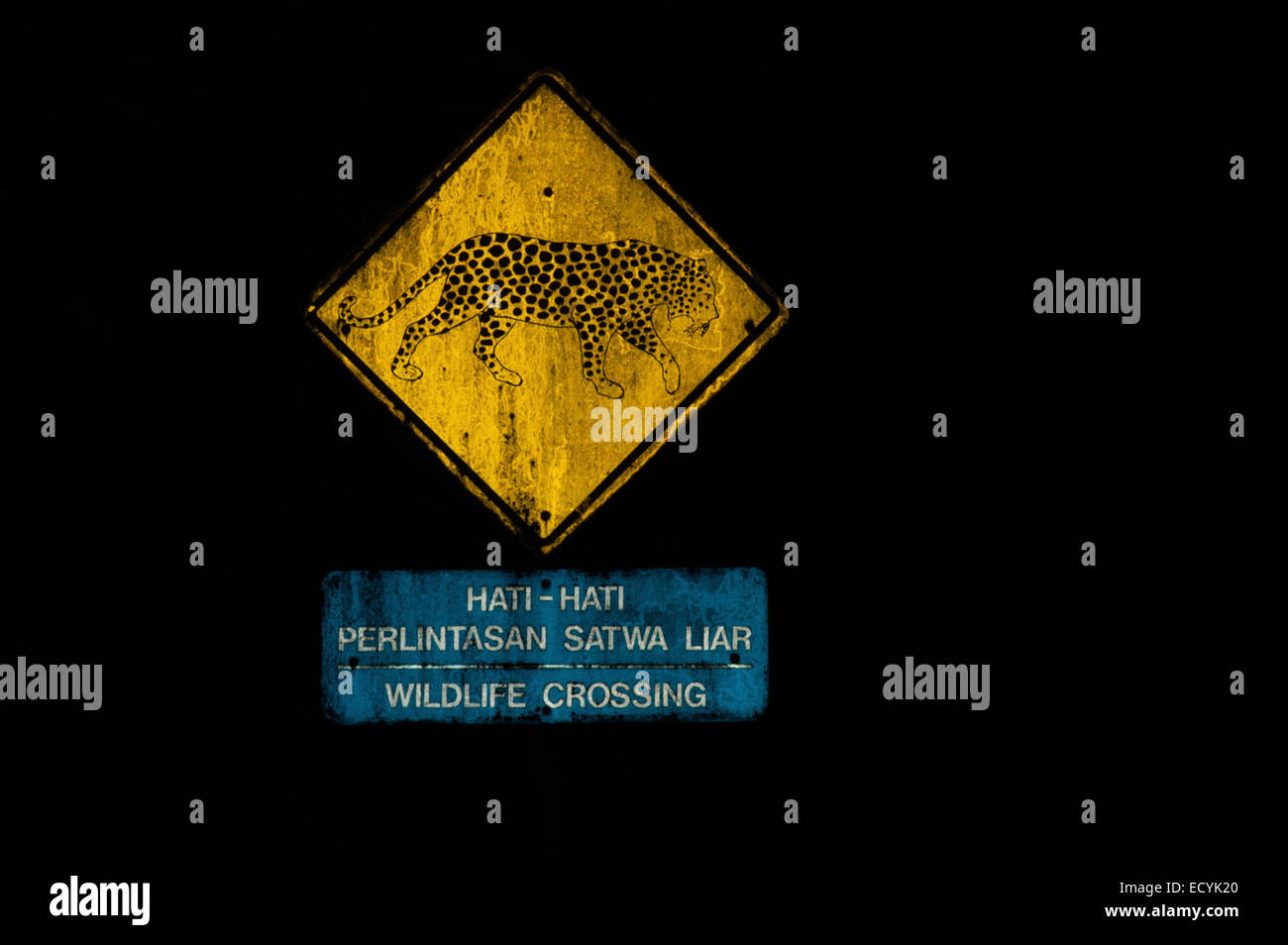 Wildlife crossing signage with a drawing of Javan leopard (Panthera ...