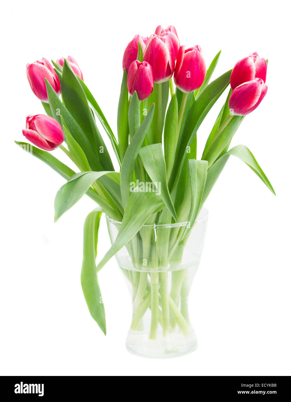 bouquet of tulip flowers in vase Stock Photo - Alamy