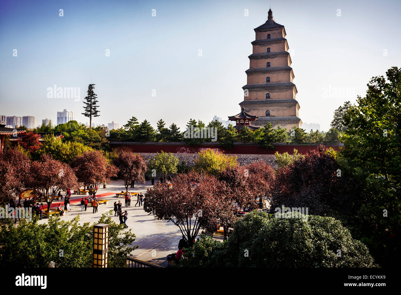 Giant Wild Goose Pagoda, Buddhist pagoda in Xi'an, Shaanxi, China Stock Photo - Alamy