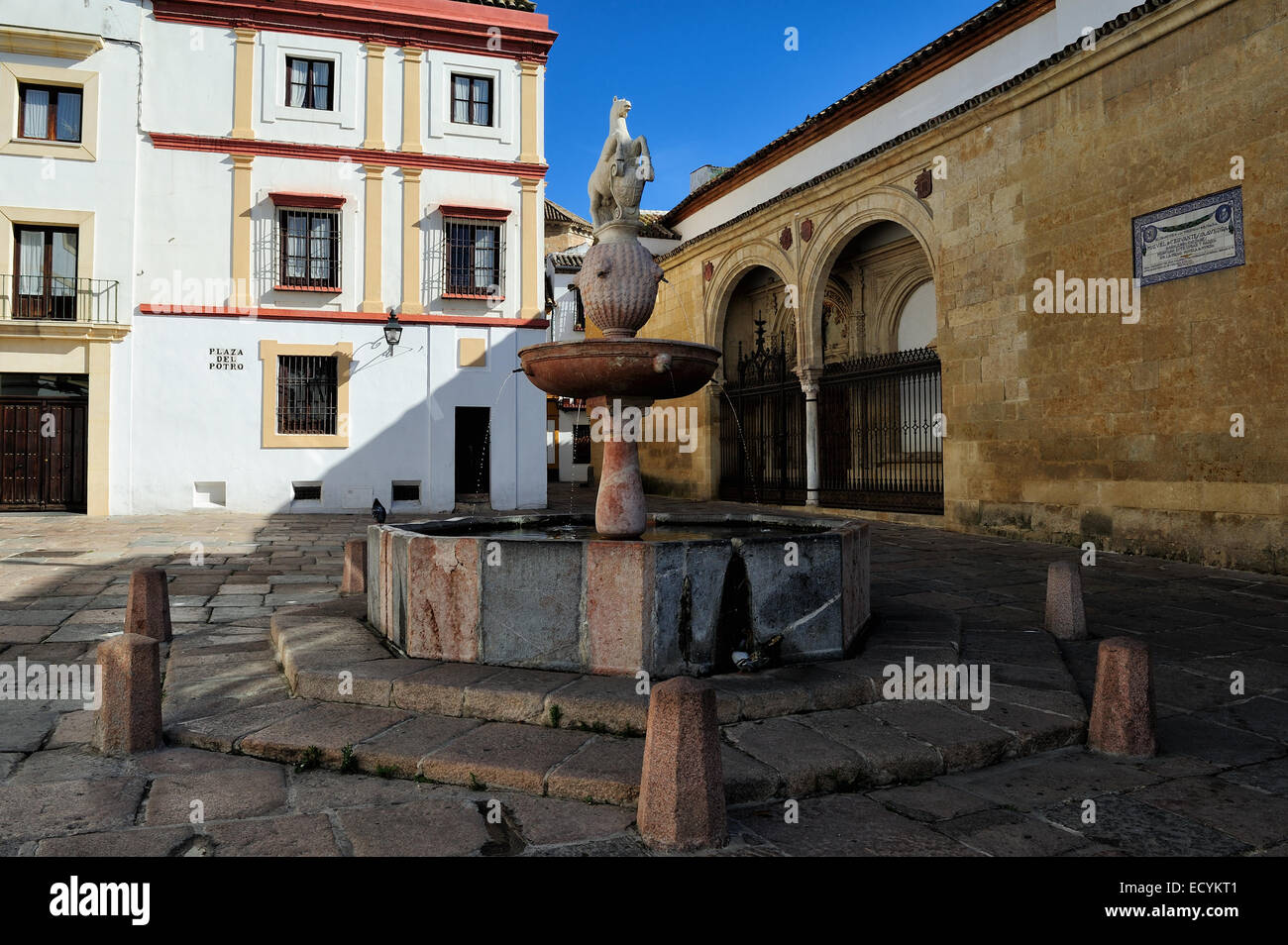 the Plaza del Potro (Square of the Colt), mentioned by Cervantes in Don ...