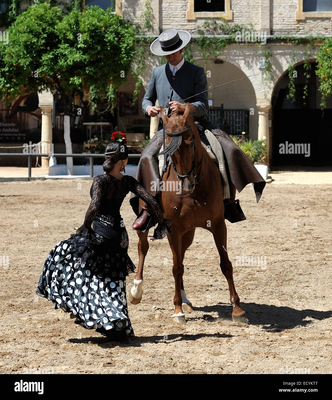 equestrian show at Royal Stables (Caballerizas Reales), Cordoba, Spain ...
