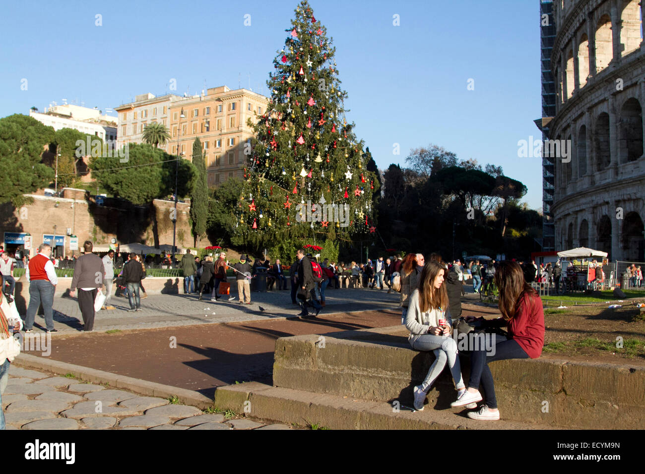 Coliseum with christmas tree hi-res stock photography and images - Alamy
