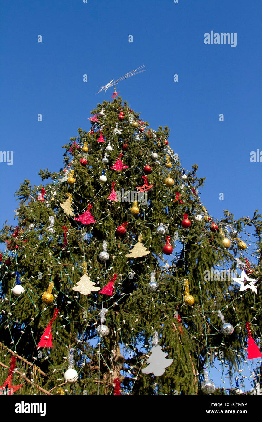 Christmas tree rome colosseum hi-res stock photography and images - Alamy