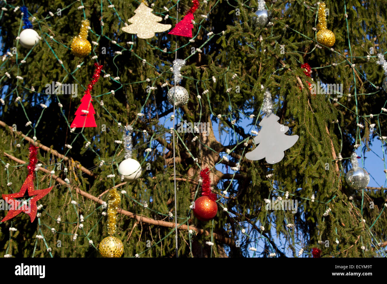 Coliseum with christmas tree hi-res stock photography and images - Alamy