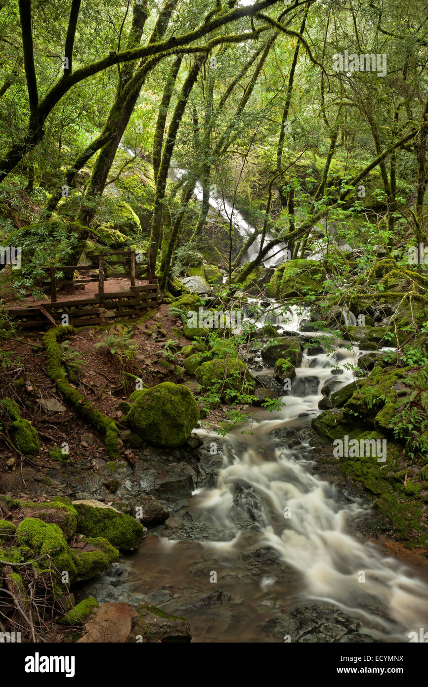 CALIFORNIA - Upper Cataract Falls on the Cataract Creek Trail in the ...