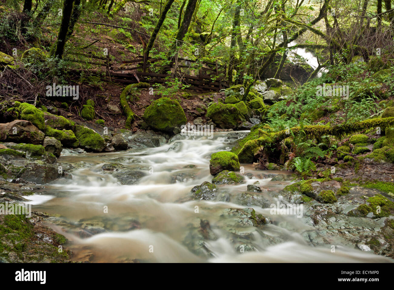 CALIFORNIA - Upper Cataract Falls on the Cataract Creek Trail in the ...