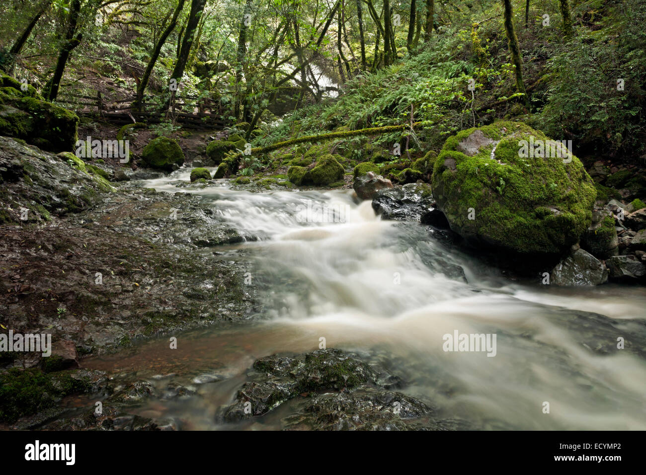 CALIFORNIA - Upper Cataract Falls on the Cataract Creek Trail in the ...
