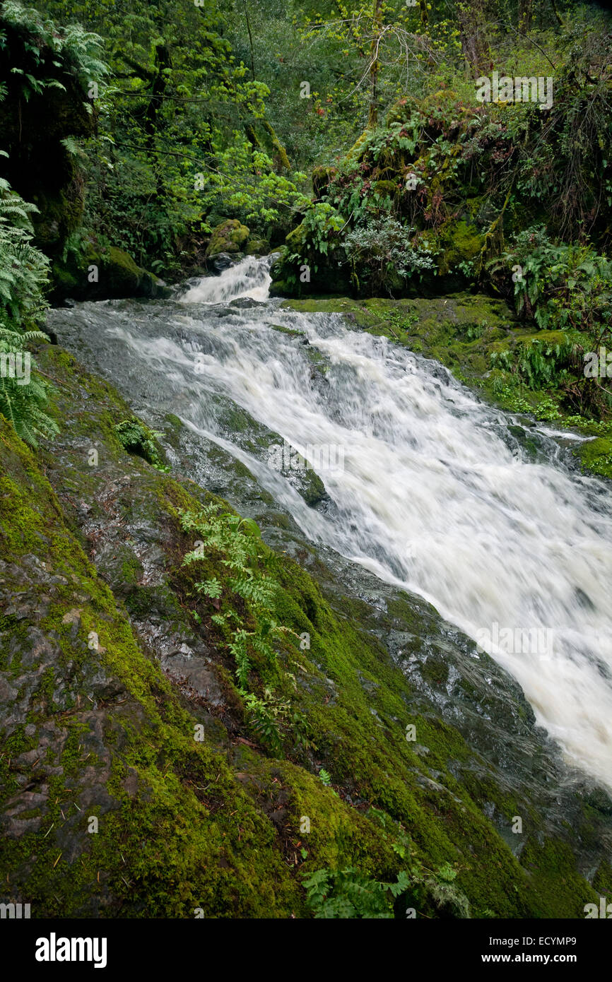Cataract falls state park hi-res stock photography and images - Alamy