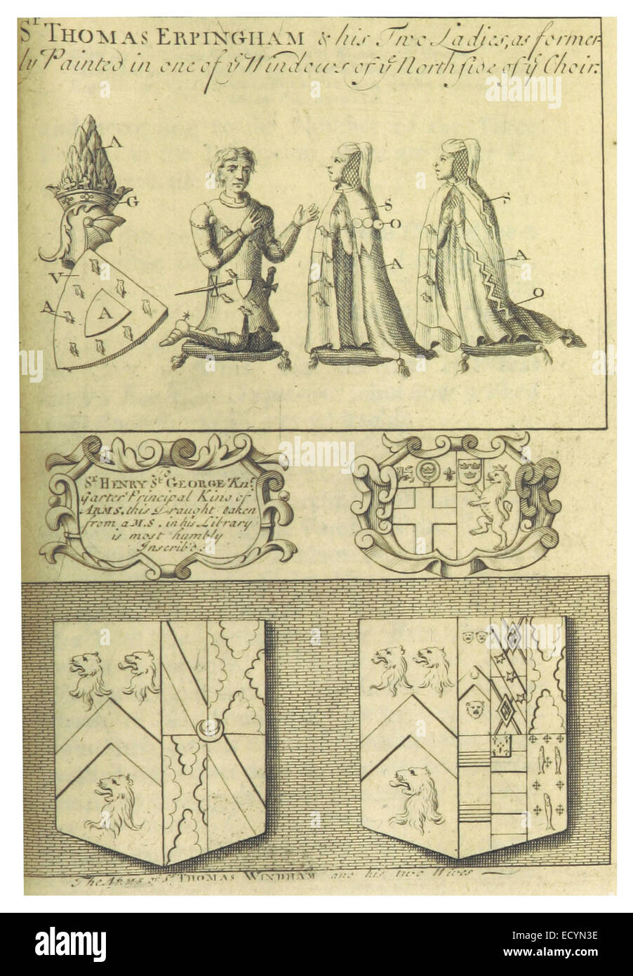 Browne's 1723 work provides detailed observations and illustrations of ...