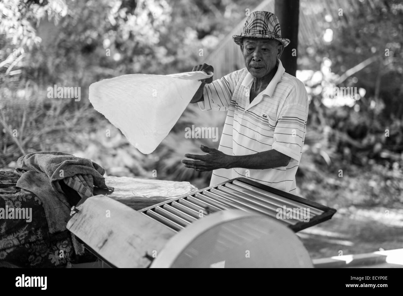 Vietnamese man loads fresh rice paper into a cutting machine to make ...