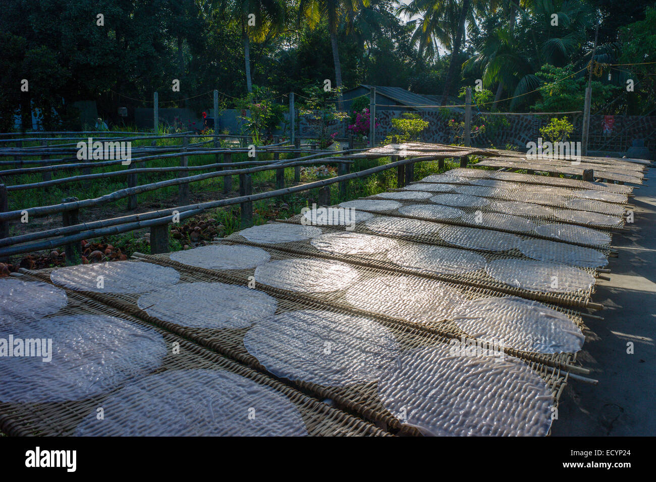 Drying rice noodle hi-res stock photography and images - Alamy