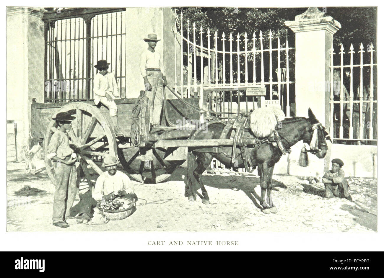 Ancient horse cart hi-res stock photography and images - Alamy
