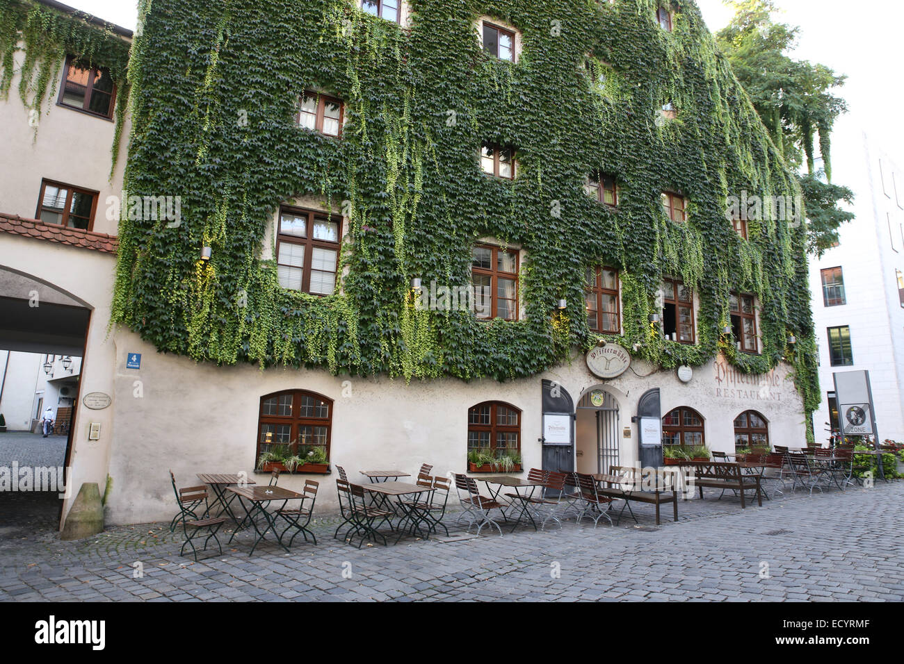 vine covered building Europe Stock Photo - Alamy