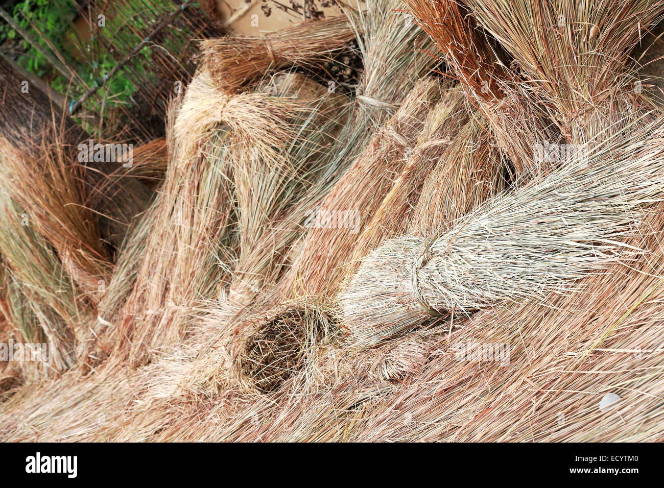 Bunches of rice straw leaning on the rear wall of a traditional ...
