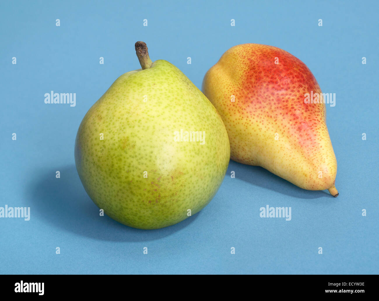 two pears on blue Stock Photo - Alamy