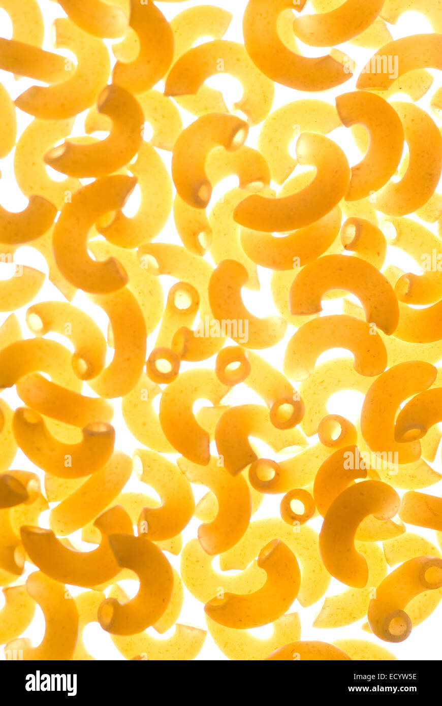 Pasta Shells on a Simple Bright White Background Stock Photo - Alamy