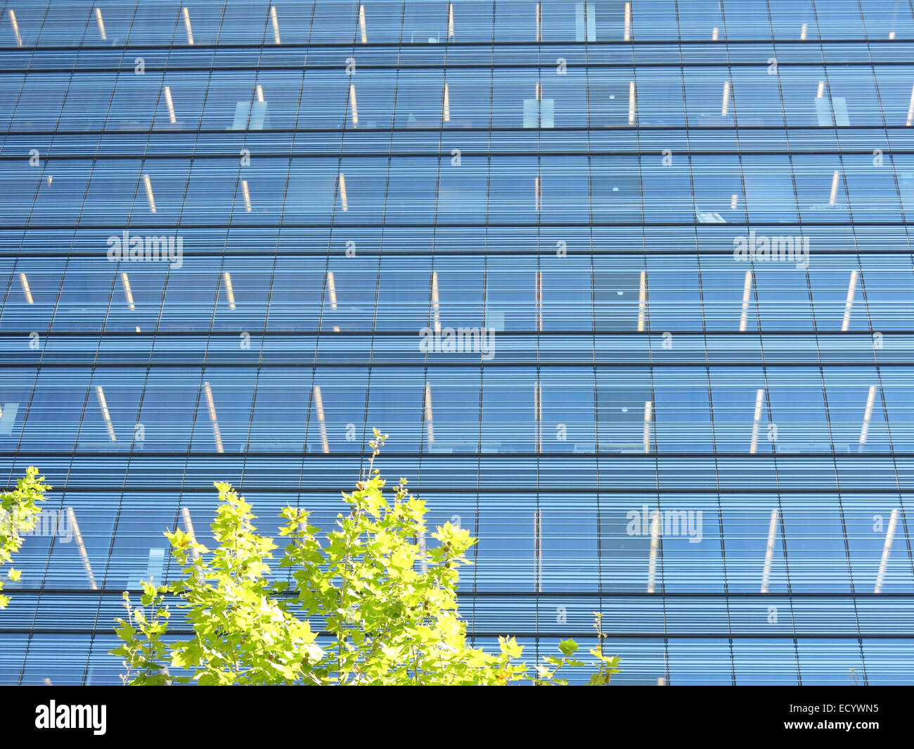 Background office building with blue crystals Stock Photo - Alamy