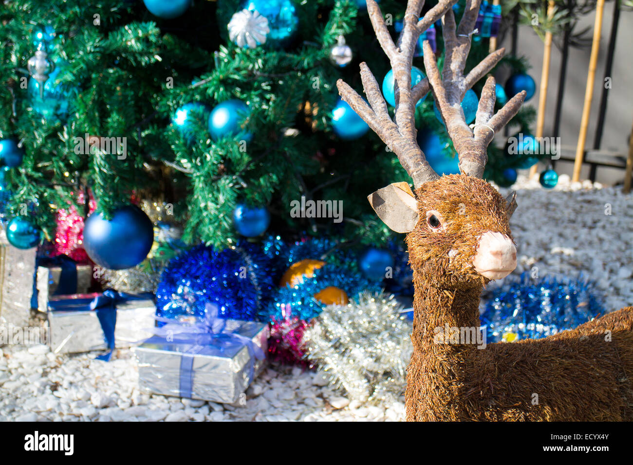 Reindeer xmas tree hi-res stock photography and images - Alamy