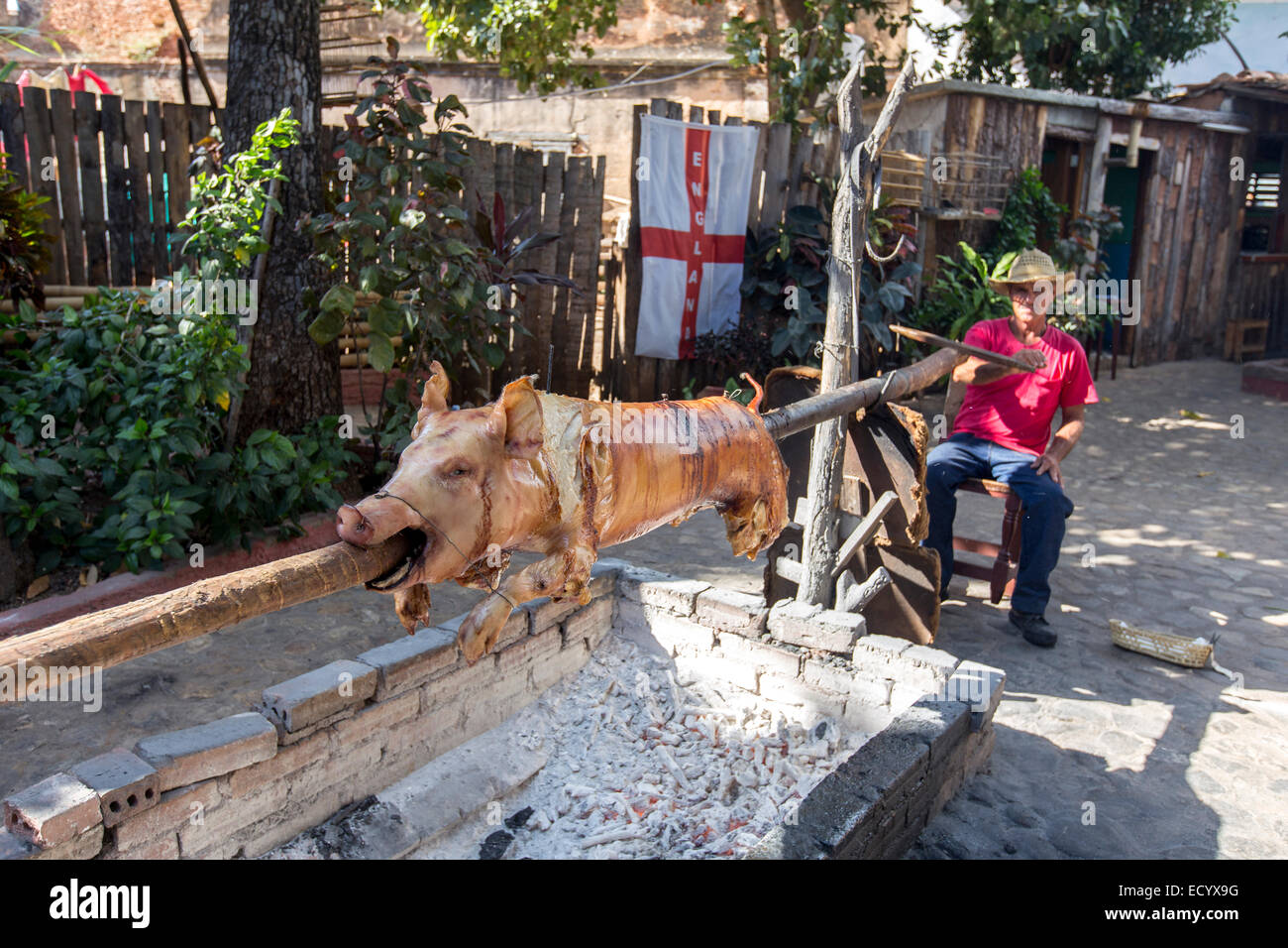 Cuba trinidad street pig hi-res stock photography and images - Alamy