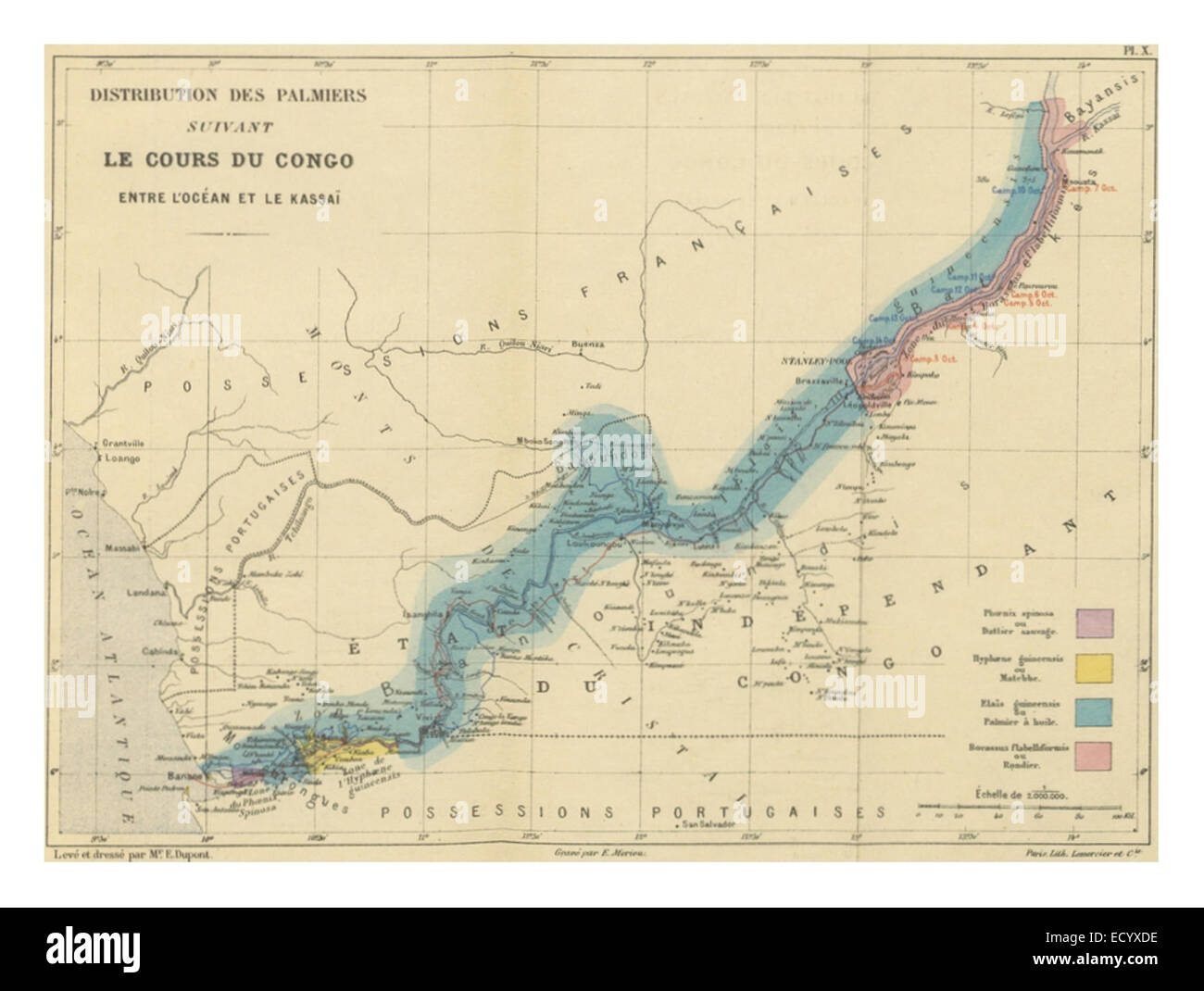 Dupont’s 1889 illustration depicts the distribution of palm trees in ...