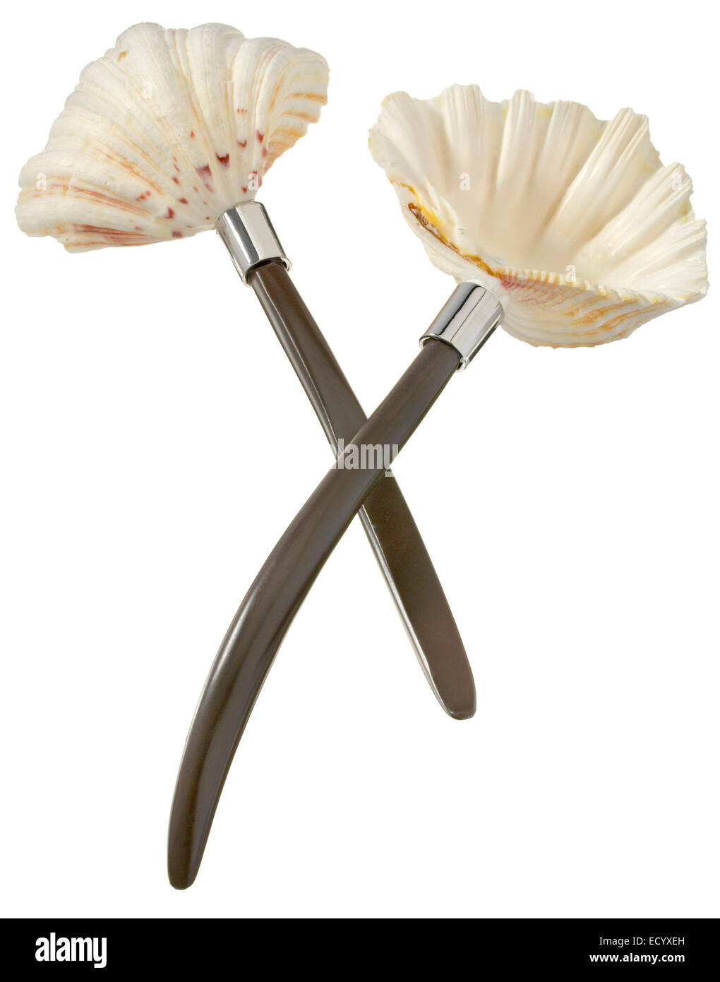 Plastic clam shell hi-res stock photography and images - Alamy