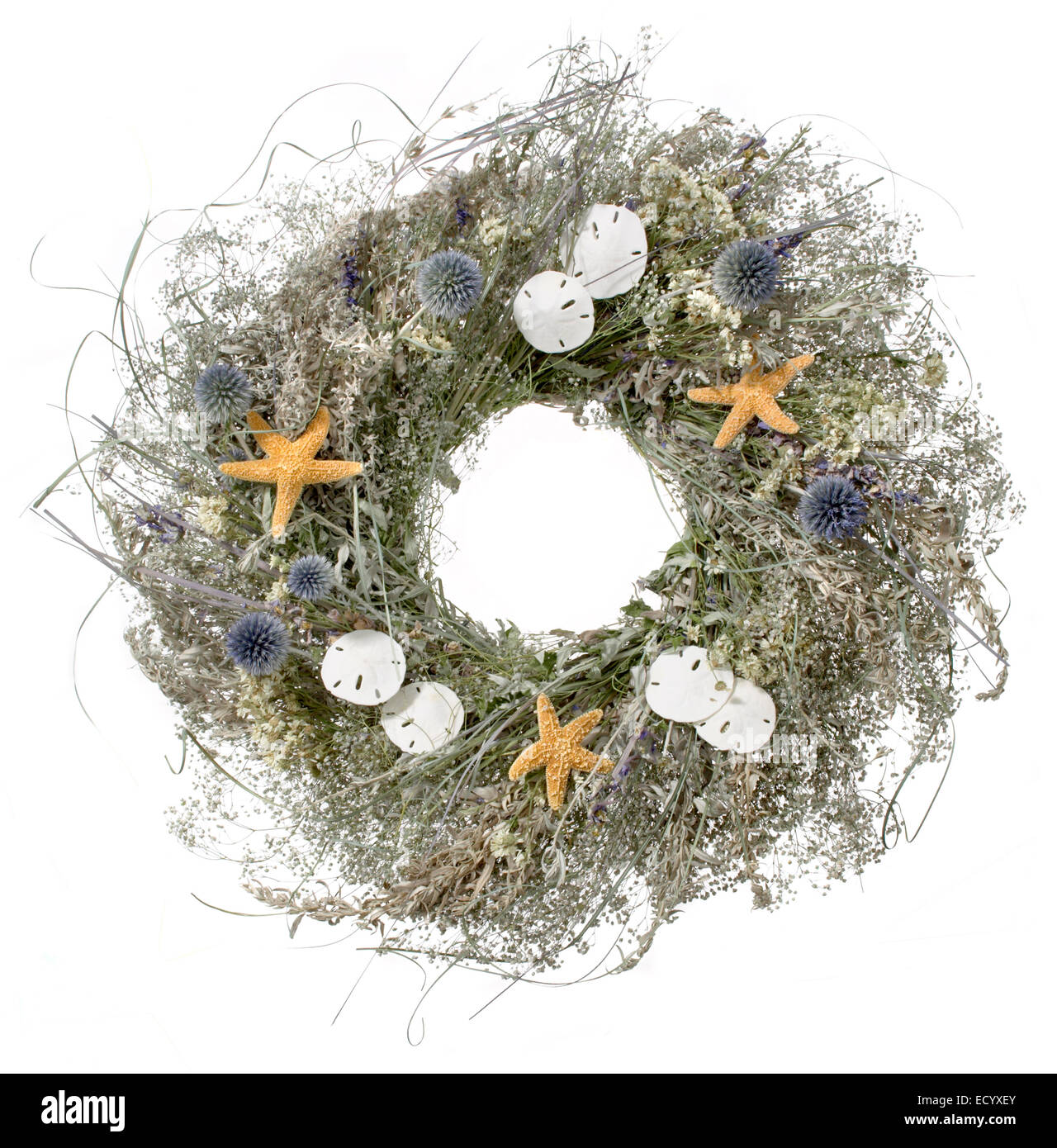 Wreath of shells Cut Out Stock Images & Pictures - Alamy