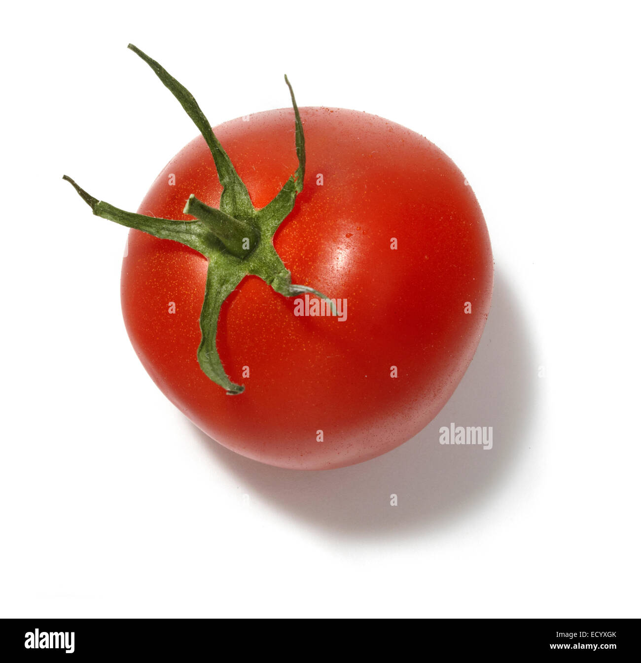 One tomato fruit hi-res stock photography and images - Alamy