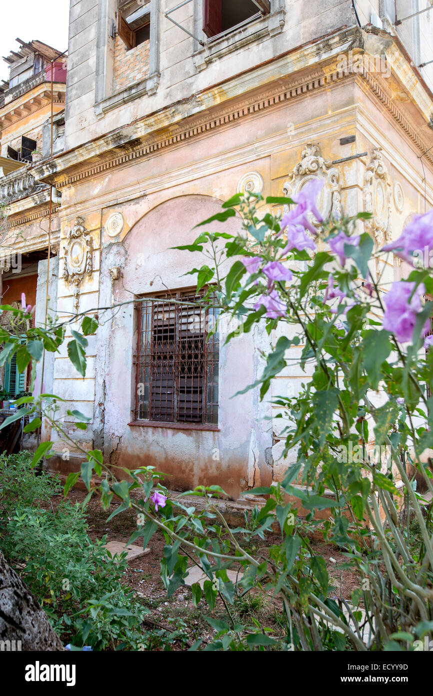 Old and shabby buildings in Havana, Cuba Stock Photo - Alamy