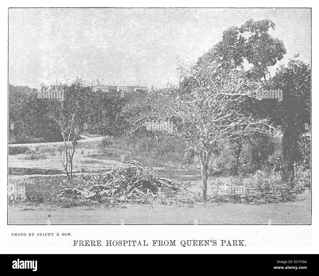 This 1893 illustration shows Frere Hospital, as seen from Queen's Park ...