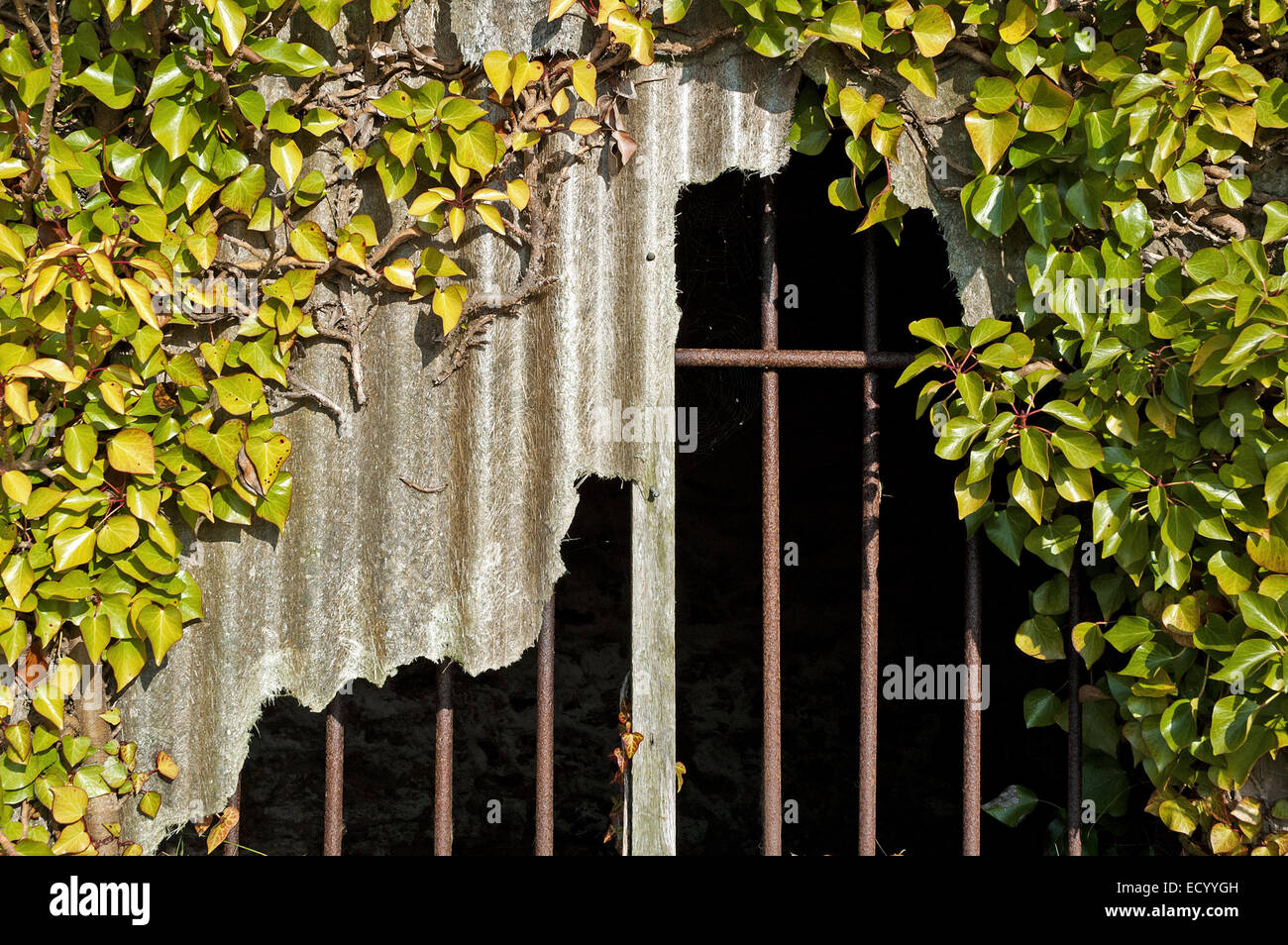 an abstract of a damaged warehouse wall Stock Photo - Alamy