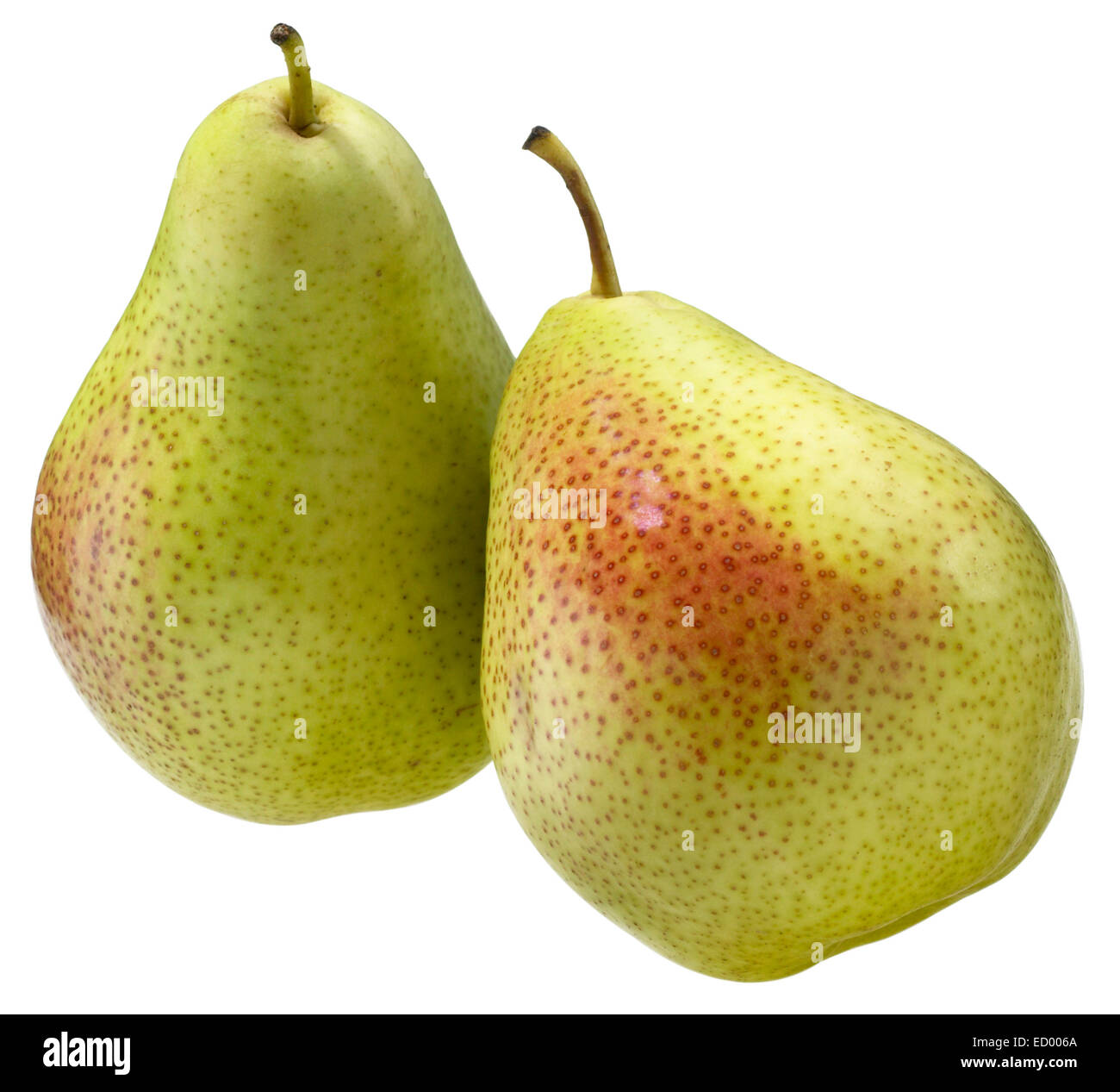 Firm stems hi-res stock photography and images - Alamy