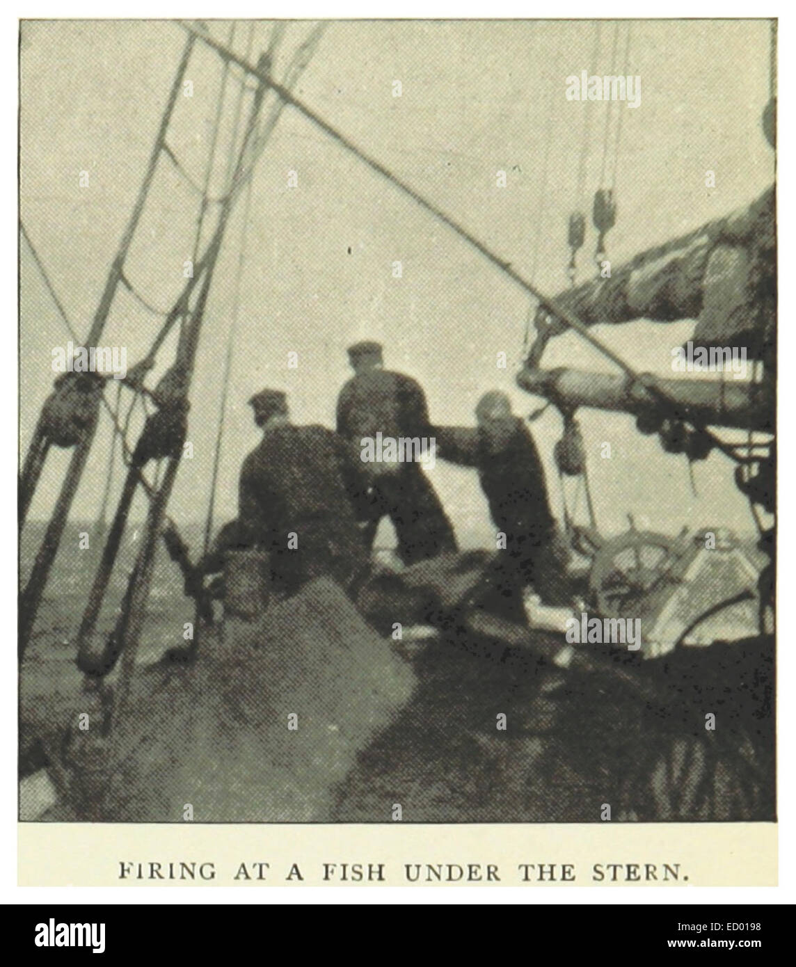 This 1898 illustration depicts a scene of firing at a fish under the ...