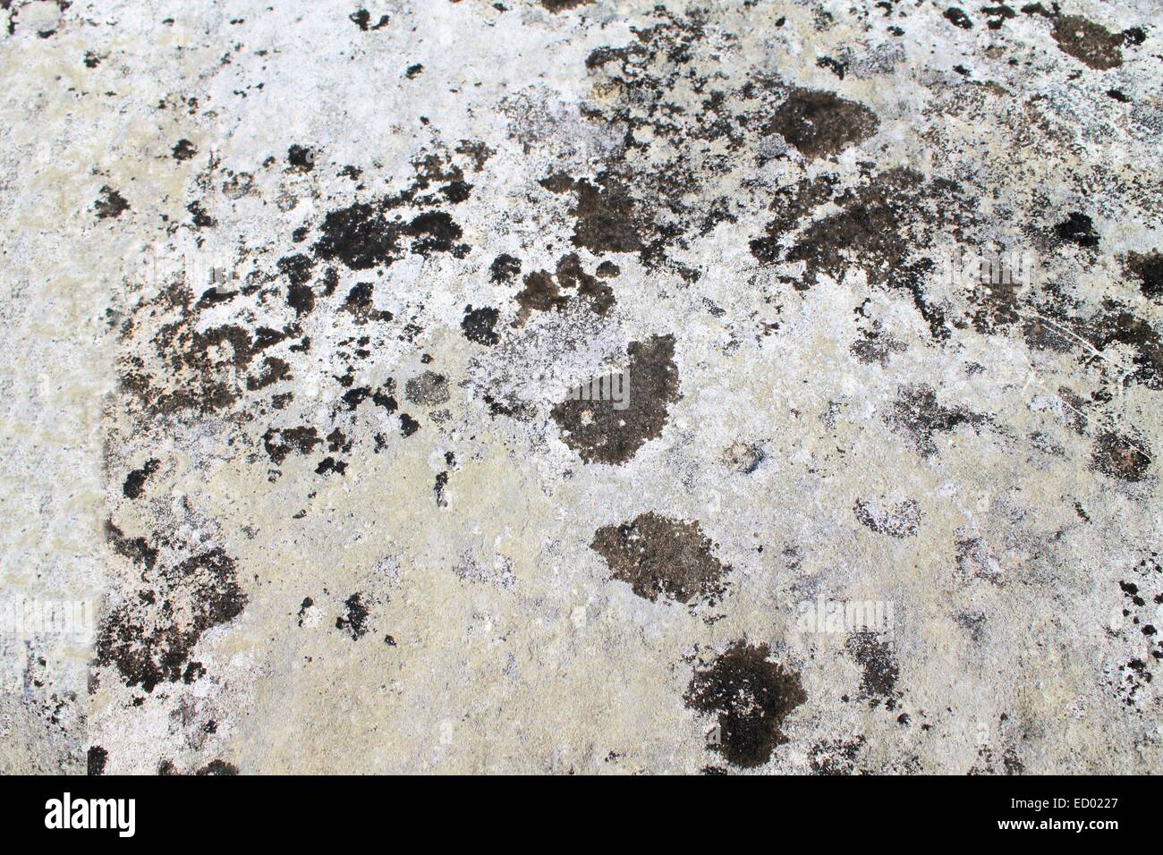 White stone texture hi-res stock photography and images - Alamy