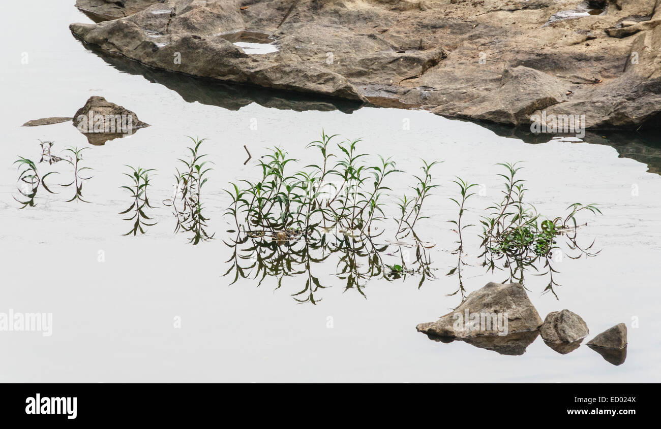 Kerala, India - Munnar river Stock Photo - Alamy