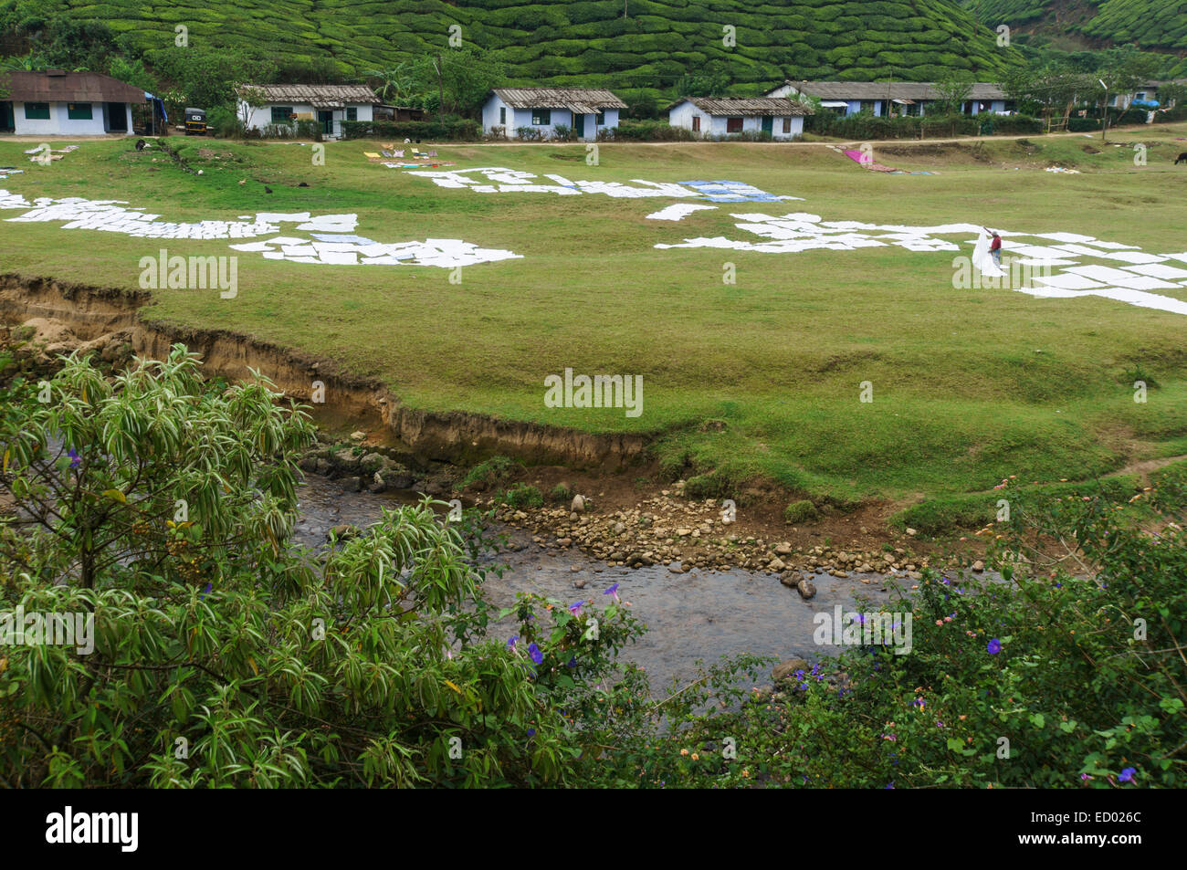 Dhobi wallah hi-res stock photography and images - Alamy