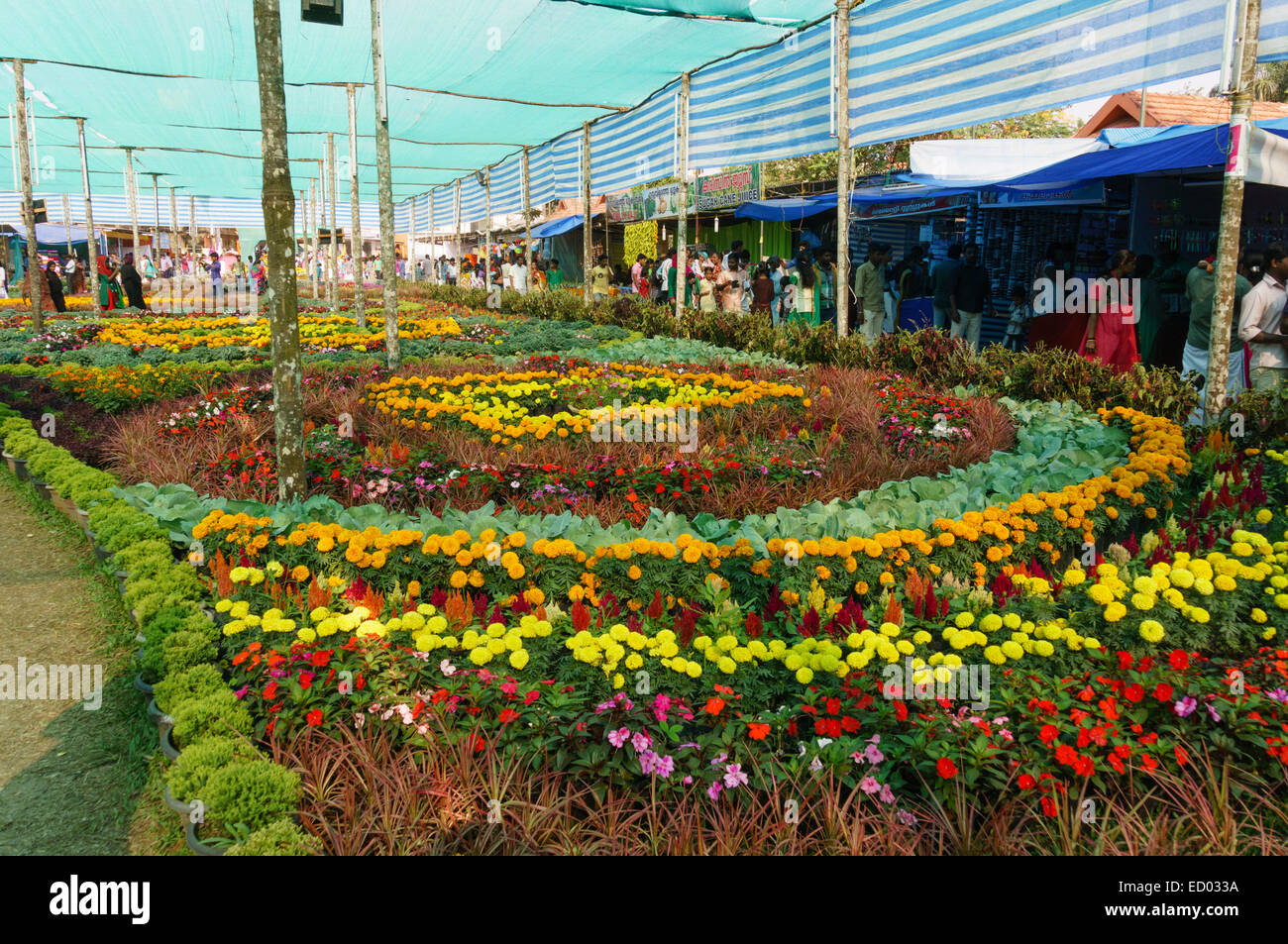 Kerala, India - Thekkady spring flower festival, with funfair and ...