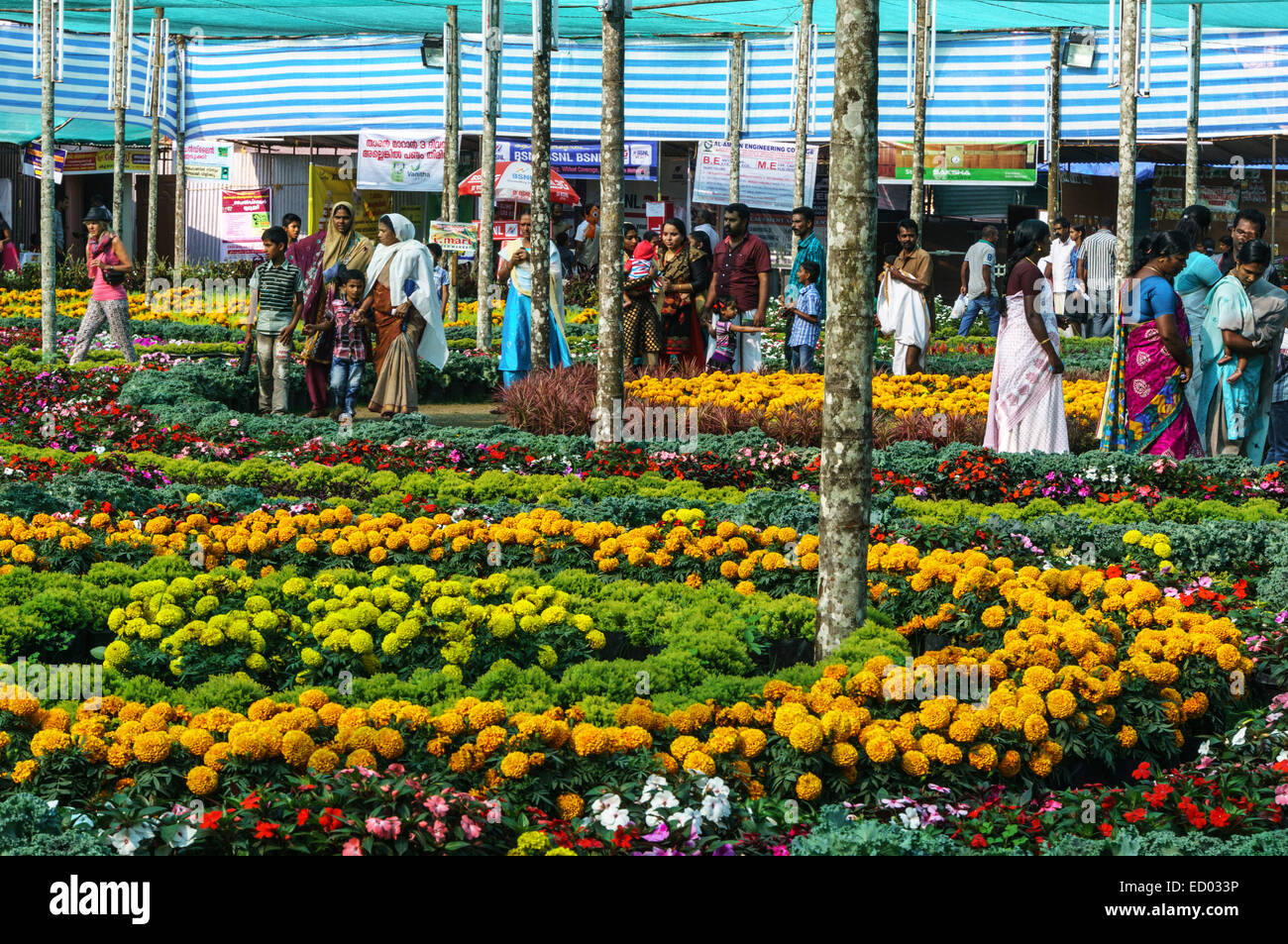 Kerala, India - Thekkady spring flower festival, with funfair and ...