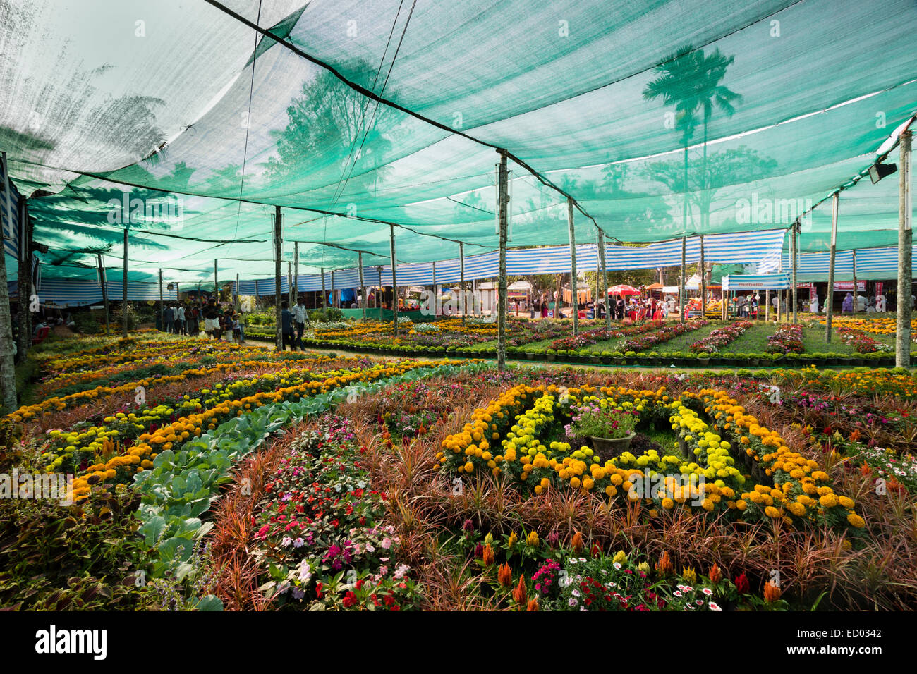 Kerala, India - Thekkady spring flower festival, with funfair and ...