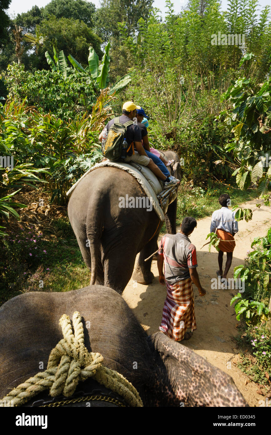 Elephant Ride Thekkady at Randal Canada blog