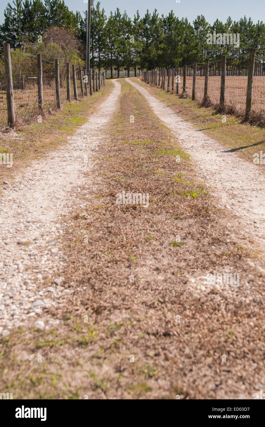 A long lane, one lane road. There is a fence on both sides and an stand ...