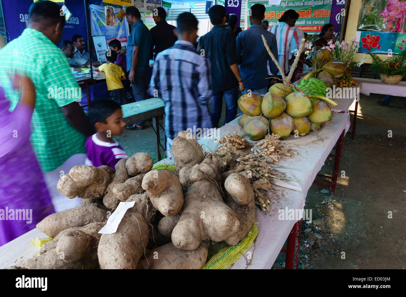 Kerala, India - Thekkady spring flower festival, with funfair and ...