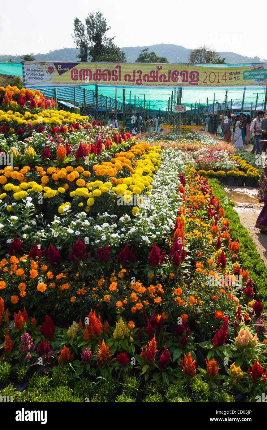 Kerala flower gardens hi-res stock photography and images - Alamy